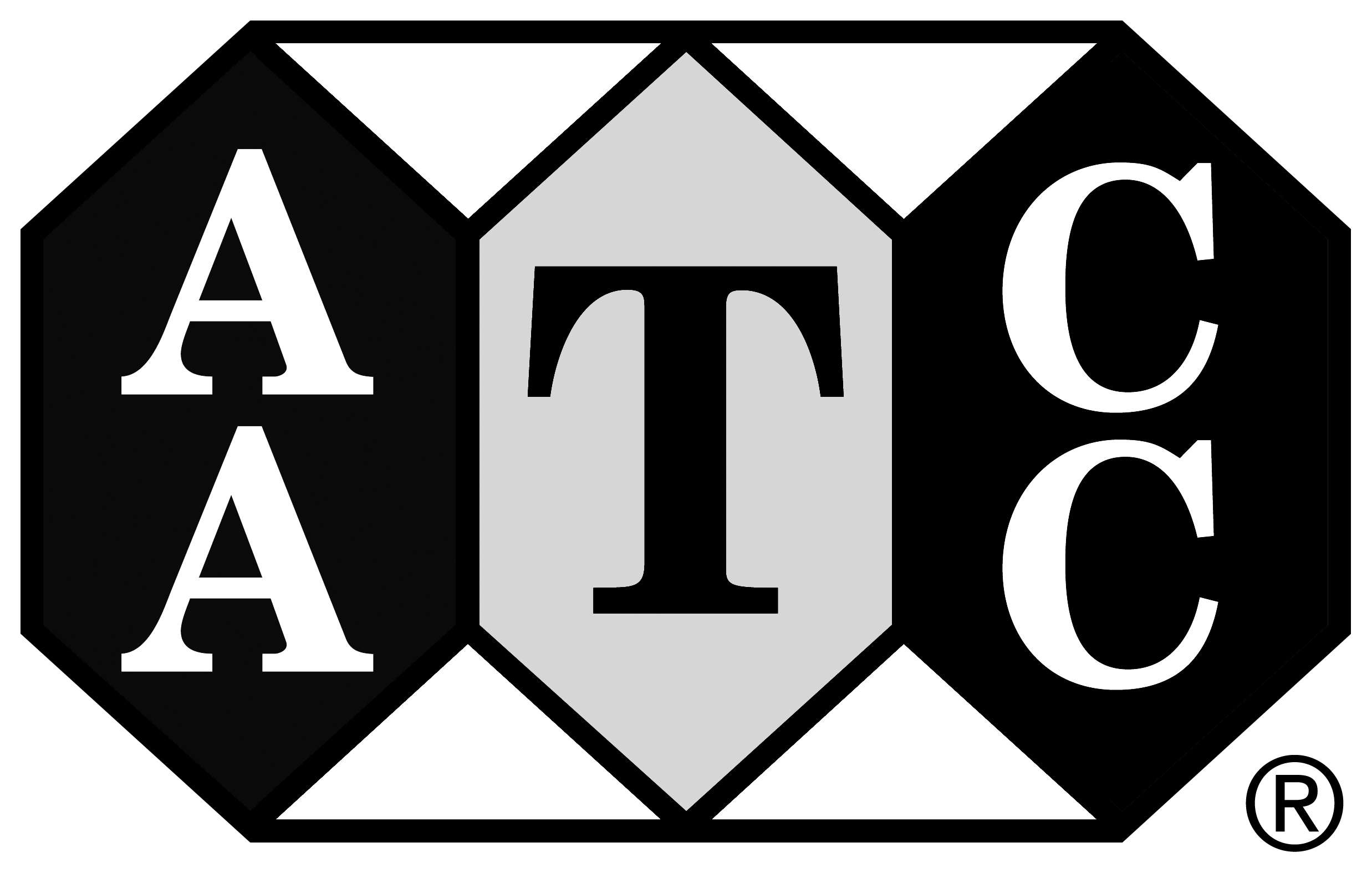 SHINKONG TEXTILE | 新光紡織股份有限公司